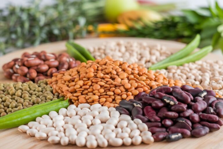 Top 5 Easiest Beans to Digest (and 5 to Avoid at First) - Midlife ...